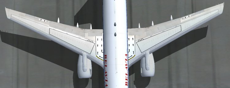 Wings of Boeing 737-600/700/800/900 PMDG - FS2004 Aircraft Liveries and ...