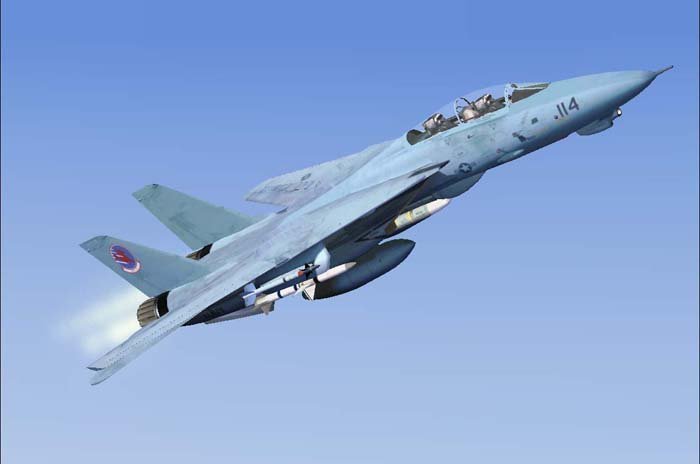 F-14 TomCat - FS2004 Aircrafts - Avsim.su