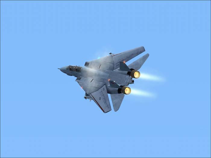 F-14 TomCat - FS2004 Aircrafts - Avsim.su