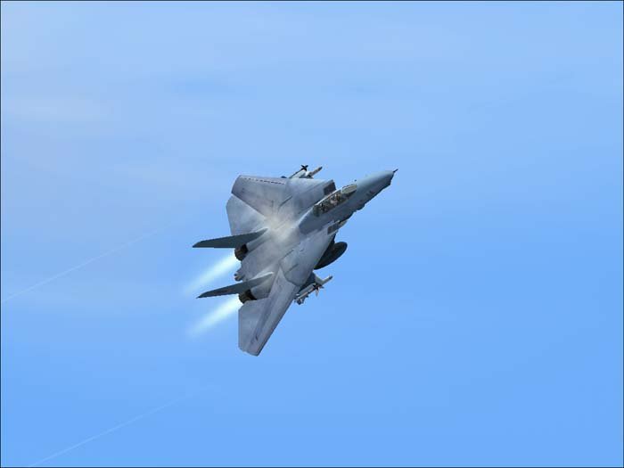 F-14 TomCat - FS2004 Aircrafts - Avsim.su