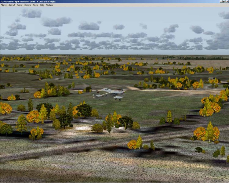 Trees textures for FS2004 - FS2004 Effects and Addons - Avsim.su