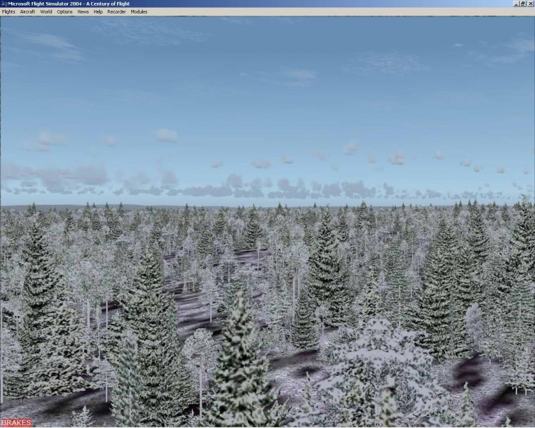 Trees textures for FS2004 variant 2 - FS2004 Effects and Addons - Avsim.su