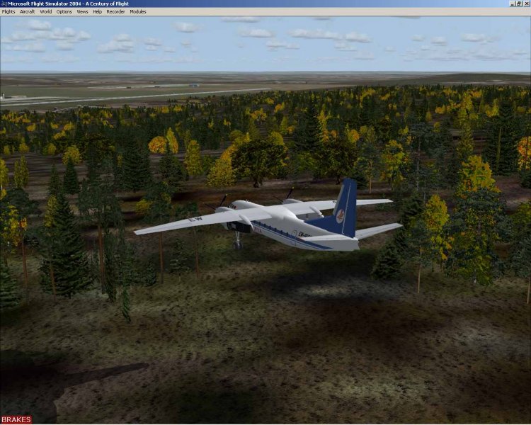 Trees textures for FS2004 variant 2 - FS2004 Effects and Addons - Avsim.su